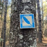 Fonta Flora Trail Loop, North Carolina - 1,599 Reviews, Map | AllTrails