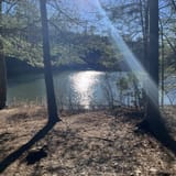 Fonta Flora Trail Loop, North Carolina - 1,599 Reviews, Map | AllTrails