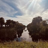 Three Forks Marsh Trail, Florida - 33 Reviews, Map | AllTrails