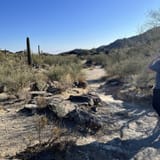 Mormon Loop and National Trail, Arizona - 2,591 Reviews, Map | AllTrails