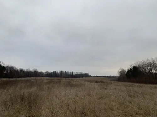 Best Hikes and Trails in Maplehurst Natural Area | AllTrails