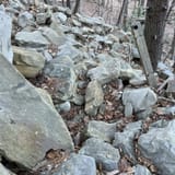 Devil's Racetrack Trail, Tennessee - 584 Reviews, Map | AllTrails