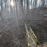 Devil's Racetrack Trail, Tennessee - 584 Reviews, Map | AllTrails