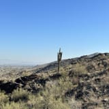 Mormon Loop and National Trail, Arizona - 2,586 Reviews, Map | AllTrails