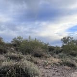 Spur Cross Dragonfly Loop, Arizona - 1,725 Reviews, Map | AllTrails