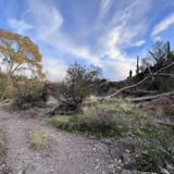 Spur Cross Dragonfly Loop, Arizona - 1,725 Reviews, Map | AllTrails