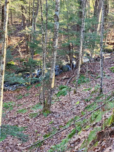 Best Hikes and Trails in Ware River Watershed | AllTrails