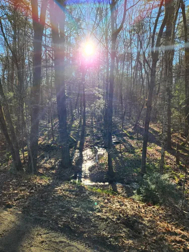 Best Hikes and Trails in Ware River Watershed | AllTrails