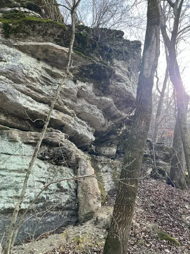 Best Hikes and Trails in Two Rivers Mountain Bike Park | AllTrails