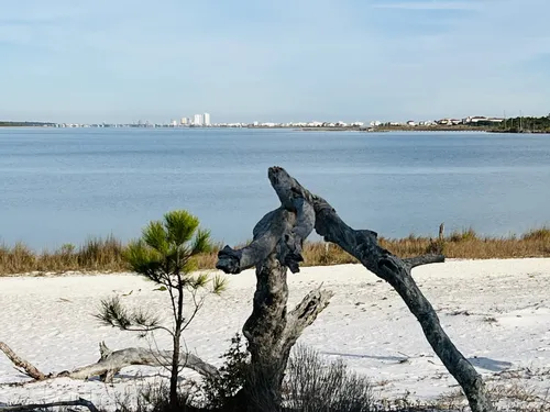 Best Hikes and Trails in Bon Secour National Wildlife Refuge | AllTrails