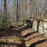 The Boogerman Trail [CLOSED], North Carolina - 530 Reviews, Map | AllTrails