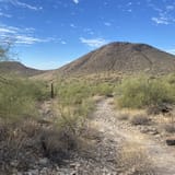 Ruth Hamilton Trail, Arizona - 2,727 Reviews, Map | AllTrails