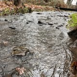 Dallas Trail Loop, Oregon - 49 Reviews, Map | AllTrails