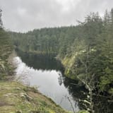 Whistle Lake Trail, Washington - 934 Reviews, Map | AllTrails