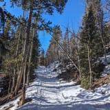 Herman Gulch Trail, Colorado - 7,702 Reviews, Map | AllTrails