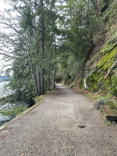 Best Hikes and Trails in Lake Whatcom Park | AllTrails