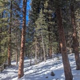 Herman Gulch Trail, Colorado - 7,702 Reviews, Map | AllTrails