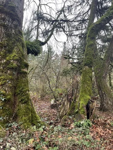 Best Hikes and Trails in Kelly Butte Natural Area | AllTrails