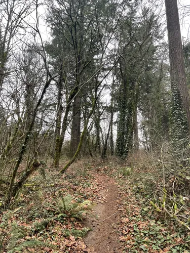Best Hikes and Trails in Kelly Butte Natural Area | AllTrails
