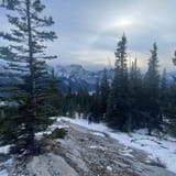 Exshaw Mountain, Alberta, Canada - 135 Reviews, Map | AllTrails