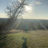 Lost Pines Trail, Texas - 670 Reviews, Map | AllTrails