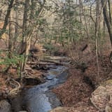 Harris Lake Peninsula Trail, North Carolina - 1,700 Reviews, Map ...