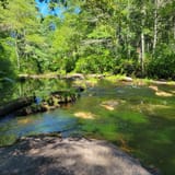 Carbuncle Pond and Moosup River Trail, Rhode Island - 261 Reviews, Map ...