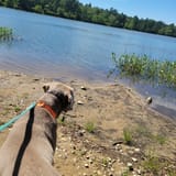 Carbuncle Pond and Moosup River Trail, Rhode Island - 261 Reviews, Map ...
