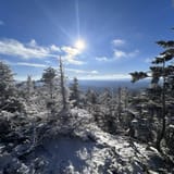 Mount Cardigan Loop Trail, New Hampshire - 1,914 Reviews, Map | AllTrails