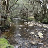 Enchanted Walk, Tasmania, Australia - 326 Reviews, Map | AllTrails
