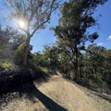 Murphy Ranch Trail , California - 1,349 Reviews, Map | AllTrails