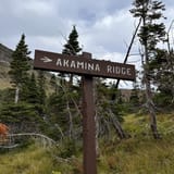 Akamina Pass, Wall Lake, and Forum Lake Trail Loop, Alberta, Canada ...