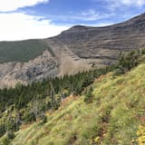 Akamina Pass, Wall Lake, and Forum Lake Trail Loop, Alberta, Canada ...