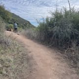 Cold Spring Loop, California - 1,943 Reviews, Map | AllTrails