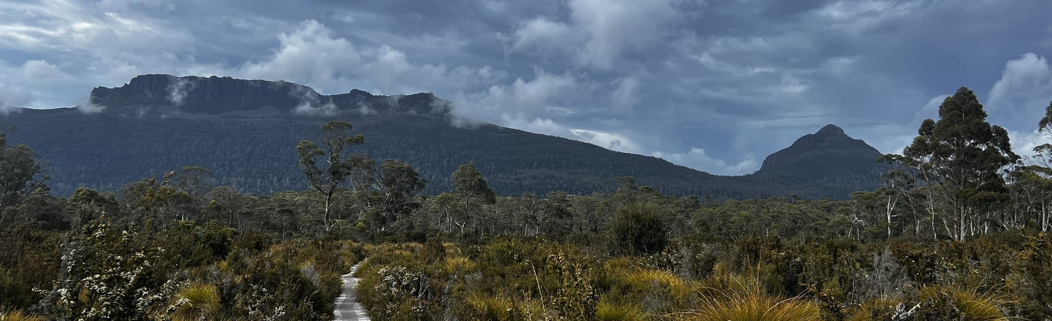 Pine Valley: The Labyrinth, Tasmania, Australia - 50 Reviews, Map ...