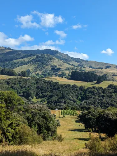Best Hikes and Trails in Akaroa Heritage Park | AllTrails