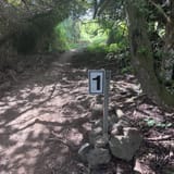 Ka'Awaloa - Captain Cook Monument Trail, Hawaii, Hawaii - 2,742 Reviews ...