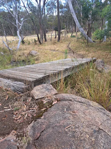 Warby Ranges State Park: de beste routes om te wandelen | AllTrails