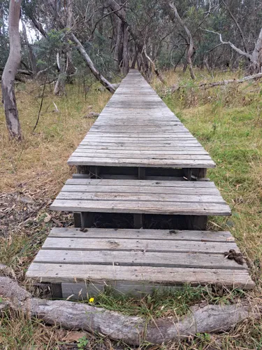 Warby Ranges State Park: de beste routes om te wandelen | AllTrails