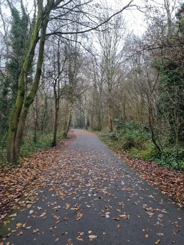 Best Hikes and Trails in Halewood Triangle Country Park | AllTrails