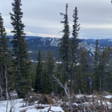 Prairie Mountain, Alberta, Canada - 6,234 Reviews, Map | AllTrails