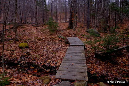 Best Hikes and Trails in Fauver East Conservation Trails | AllTrails