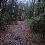 Middle Carter via Imp, North Carter, and Carter-Moriah Trail, New ...