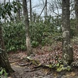 Long Point Trail, West Virginia - 4,545 Reviews, Map | AllTrails