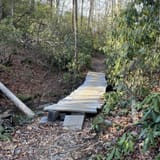 Daniel Ridge Loop, North Carolina - 1,793 Reviews, Map | AllTrails