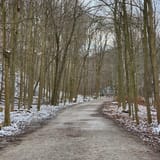 Moore Park Ravine Trail, Ontario, Canada - 1,270 Reviews, Map | AllTrails