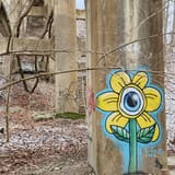 Moore Park Ravine Trail, Ontario, Canada - 1,270 Reviews, Map | AllTrails