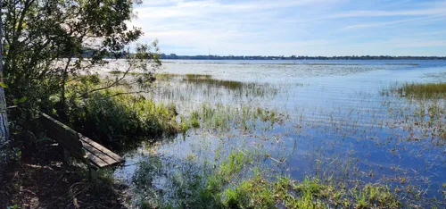 Best Hikes and Trails in Lake Lizzie Conservation Area | AllTrails