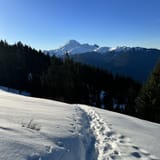 Excelsior Pass Trail, Washington - 570 Reviews, Map | AllTrails