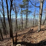 Duncan Ridge Trail, Georgia - 71 Reviews, Map | AllTrails